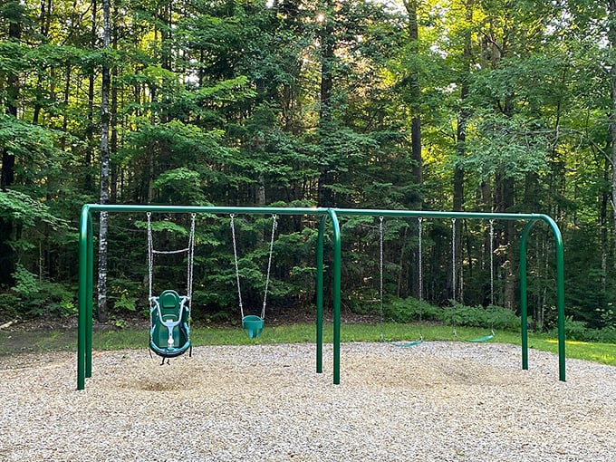 Childhood unplugged: Brighton's playground sits nestled among towering pines, offering swinging fun with a side of fresh mountain air.