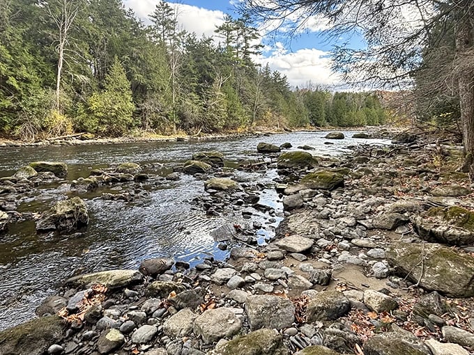 Vermont's rocky riverbed tells geological stories spanning millennia, with each stone shaped by the persistent flow of Otter Creek.