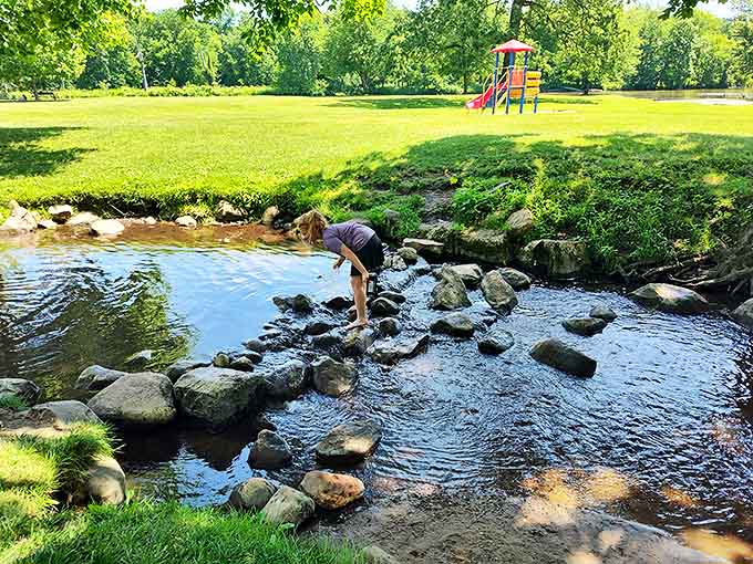 Nature's artistry on display as sunlight dances across the stream, where children create memories one stone hop at a time.