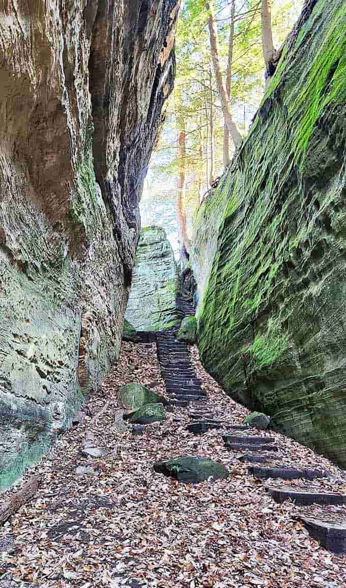 Nature's staircase winds between moss-covered walls, where every step reveals another layer of geological storytelling.