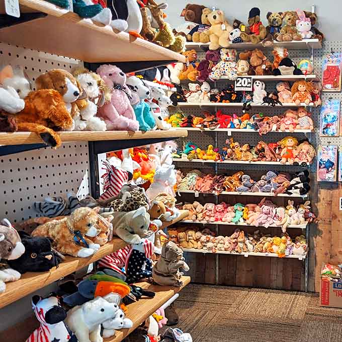 These plush companions have been waiting patiently for someone to love them all over again, and honestly, how can you resist?