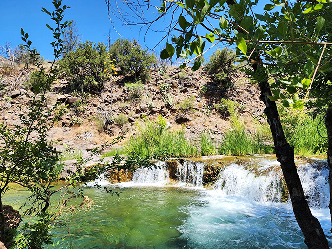 Travertine terraces create natural infinity pools along Fossil Creek, with each level offering its own perfect swimming spot.