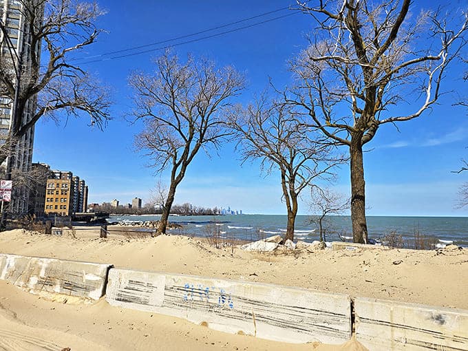 Bare winter trees frame the lake view, showcasing Rainbow Beach Park's year-round beauty even during Chicago's quieter, colder months.