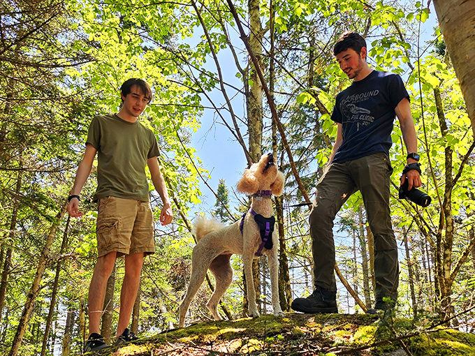 Adventure companions enjoying Maine's wilderness &ndash; even the dog seems to appreciate the fresh air and endless trails.