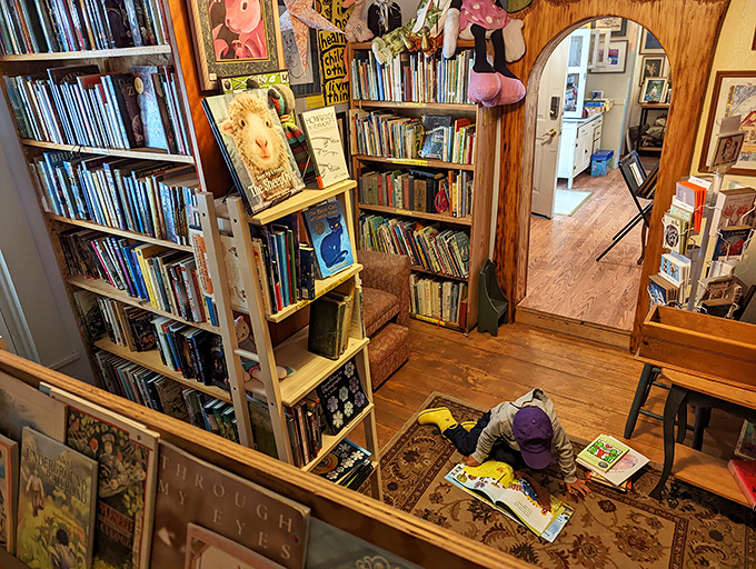 Floor-to-ceiling bookshelves create walls of possibility, each spine a doorway to another world just waiting to be opened.