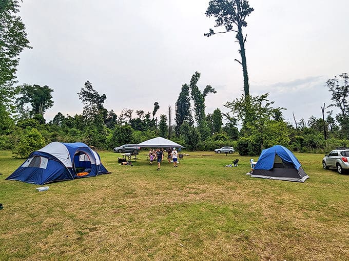 Weekend warriors stake their claim at Florida Caverns' campground, where starry nights and limestone adventures await just steps from your tent.