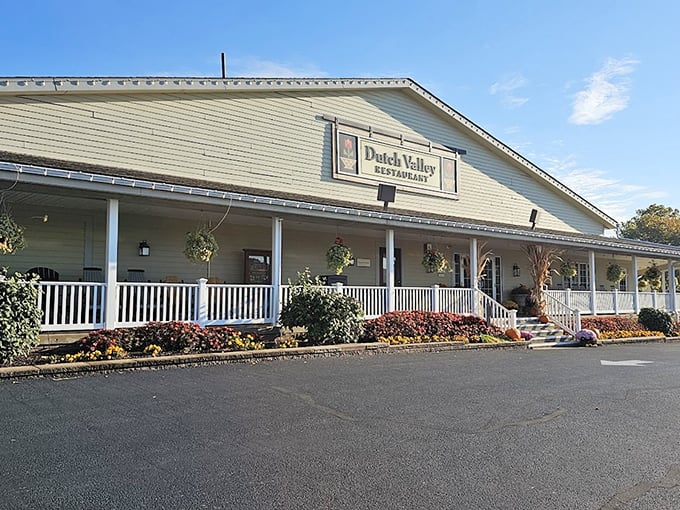 Rustic charm meets culinary delight! This cozy spot serves up home-cooked meals that'll make you want to move to Amish country.
