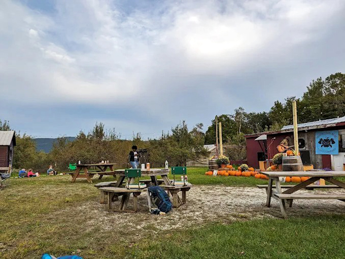Pumpkins and hay bales create that perfect autumn tableau outside the farm store, where nature's bounty meets Vermont craftsmanship.