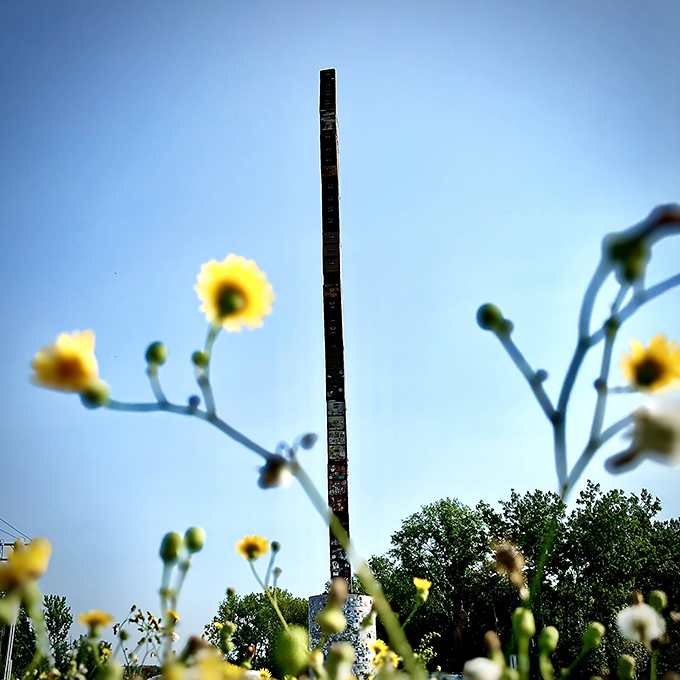 Nature frames man-made absurdity as wildflowers bow in reverence to this towering monument to paperwork purgatory.