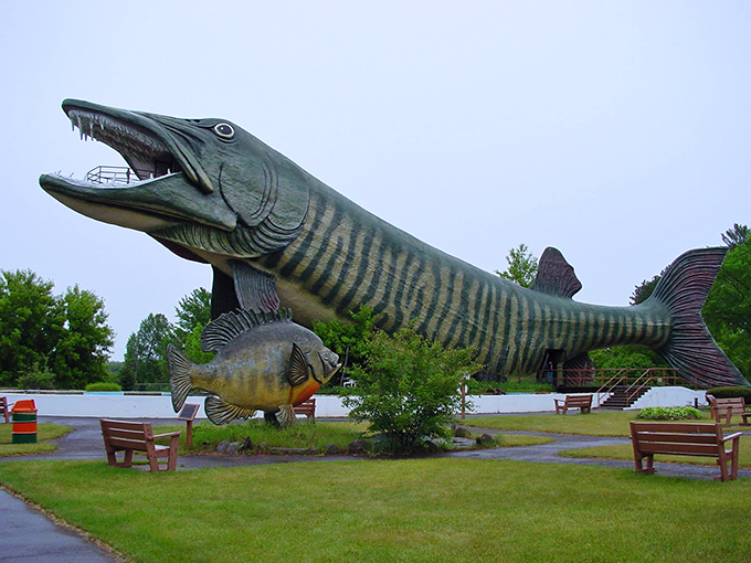 Jaws, eat your heart out! This finned phenomenon is the catch of the day, every day. It's the ultimate fish story &ndash; no exaggeration needed!