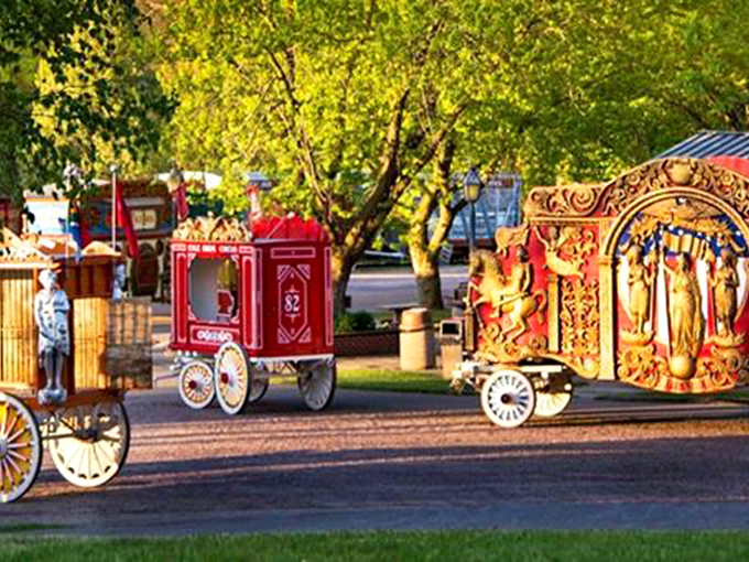Roll up, roll up! This colorful tribute to the golden age of circuses will transport you back to a time when entertainment came with sawdust and sequins.