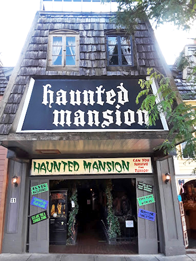 Home sweet home? More like 'dome of doom'! This spooky abode is where nightmares come for a vacation.