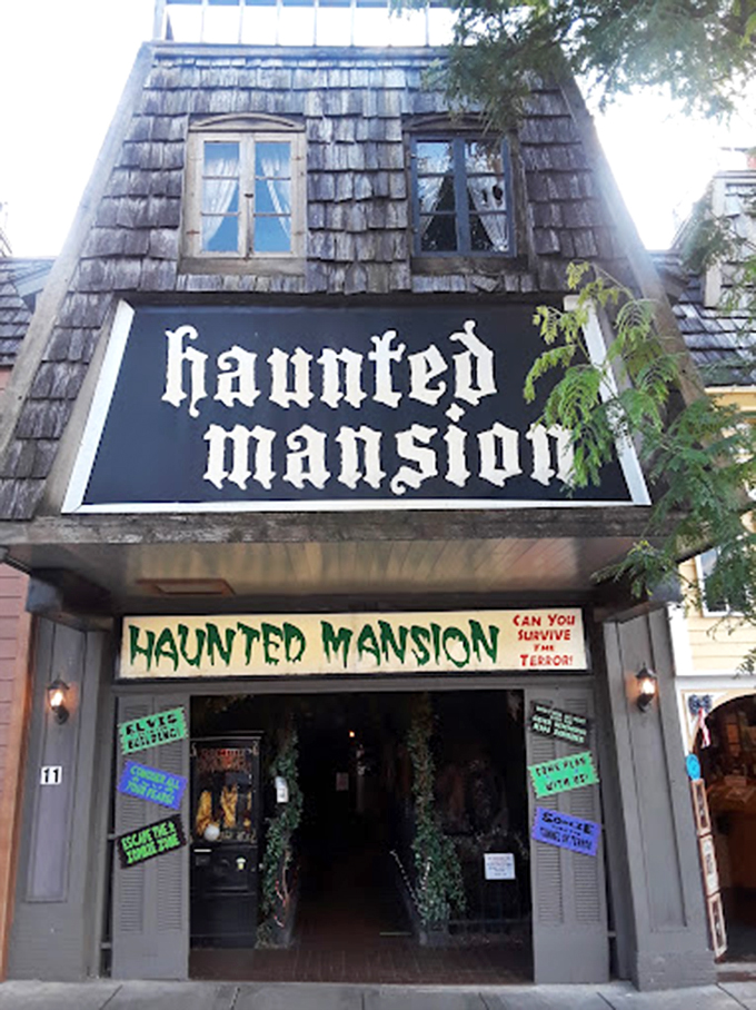 Home sweet home? More like 'dome of doom'! This spooky abode is where nightmares come for a vacation.