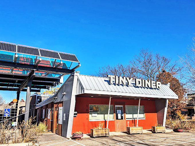 Small in size, big on flavor! Tiny Diner proves good things come in small packages, with a side of eco-friendly charm.