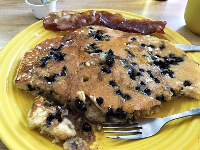 A golden-brown blueberry pancake the size of a dinner plate, studded with Maine's famous wild berries and ready for its maple syrup bath.