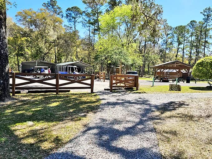 The tranquil grounds of Blue Grotto provide a peaceful retreat, where pine trees offer shade and gravel paths lead to underwater adventures.