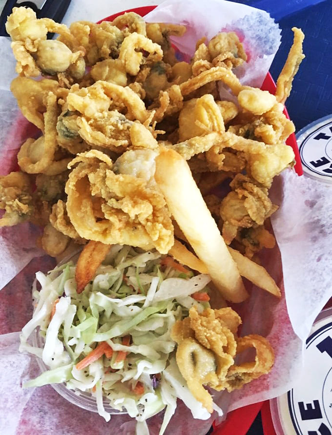 The holy trinity of coastal dining: crispy fried clams, tangy coleslaw, and fries that complete the perfect seafood basket.
