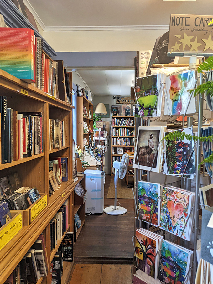 Narrow passages between bookshelves create that delicious feeling of discovery, like you're the first to unearth these literary treasures.