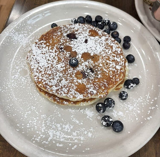 Fresh blueberries transform ordinary pancakes into something extraordinary, like nature's candy decided to crash breakfast.