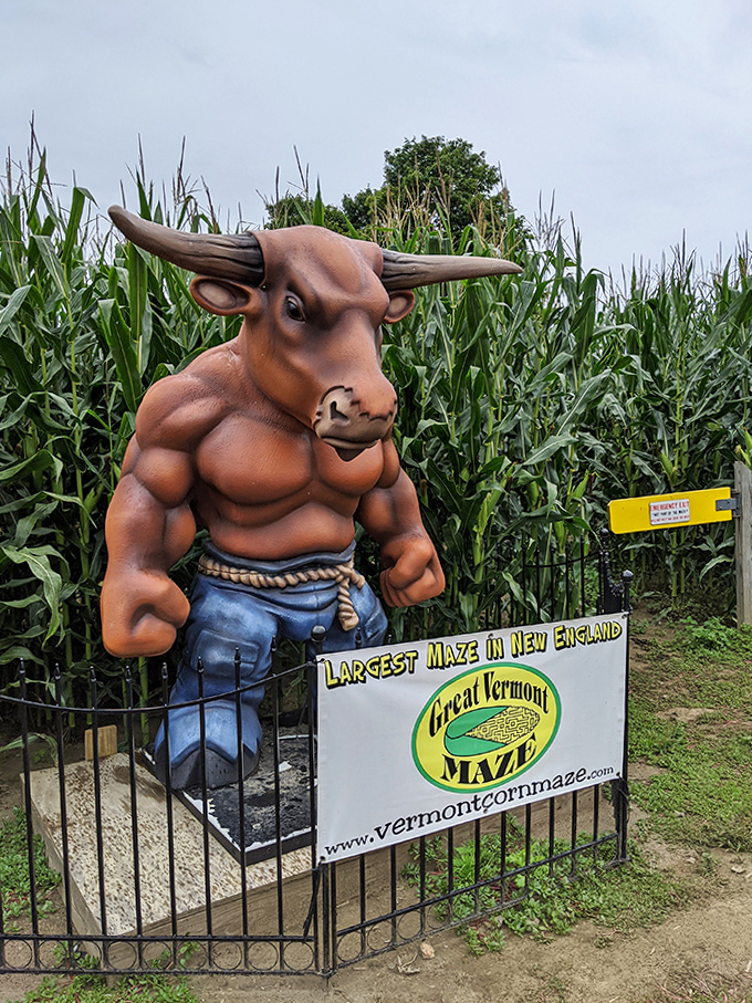 Meet the Minotaur, half man, half bull, 100% intimidating greeter who silently judges your maze-solving confidence before you begin.
