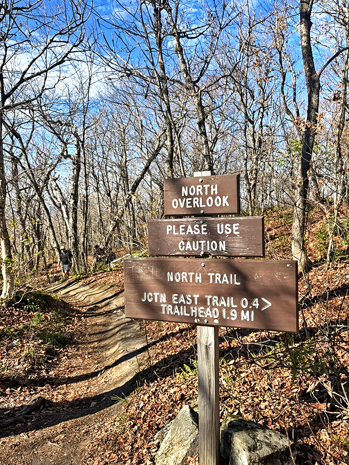 When a trail sign says "Please Use Caution," it's really saying "Epic views ahead – try not to fall while gasping in awe."