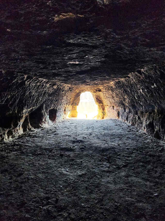 Light at the end of nature's tunnel beckons explorers forward, revealing secrets only darkness can keep.