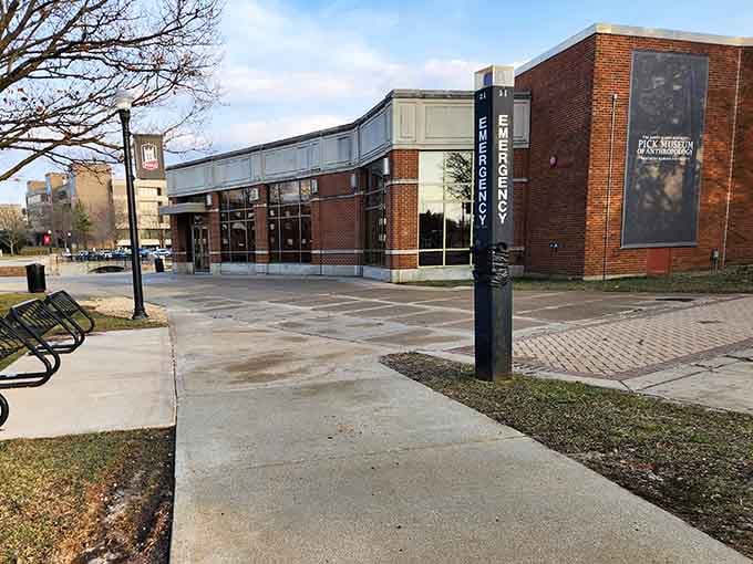 The Pick Museum of Anthropology houses world cultures under one roof, making global exploration possible without airport security lines.