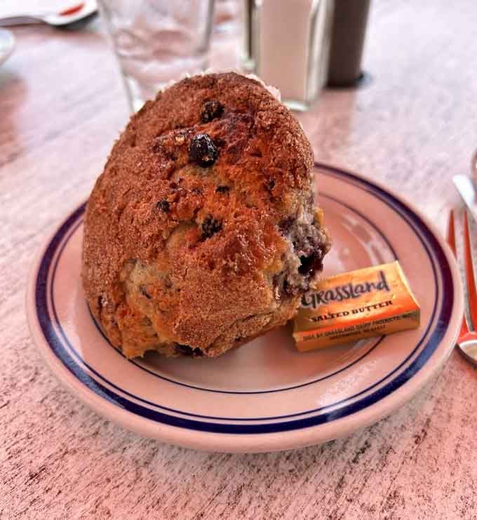 This isn't your average muffin; it's a blueberry-studded monument to Maine baking that demands respect and butter.