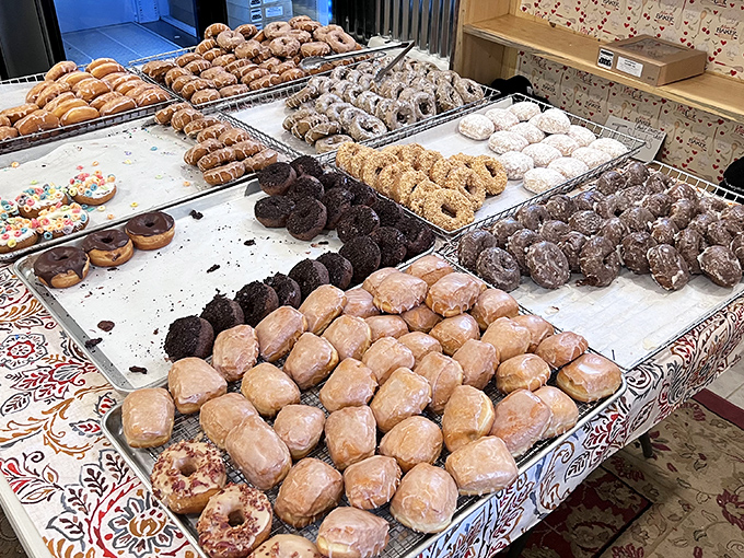 Donut heaven awaits! These handcrafted beauties line up like sugary soldiers, each one promising a different path to breakfast bliss.
