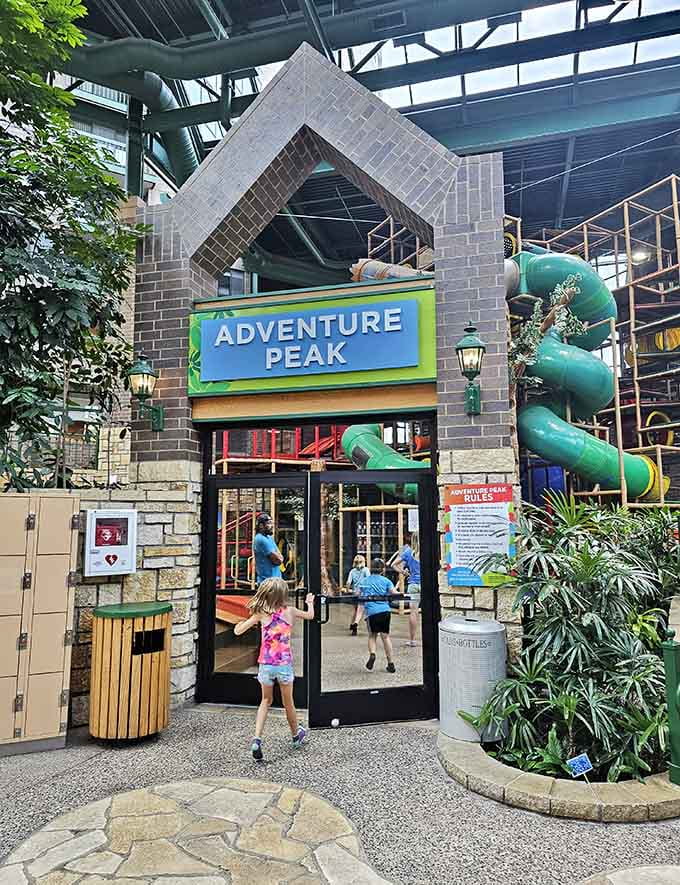 Adventure Peak's entrance beckons like a siren song to anyone who's ever wanted to be a kid again, consequences be darned.