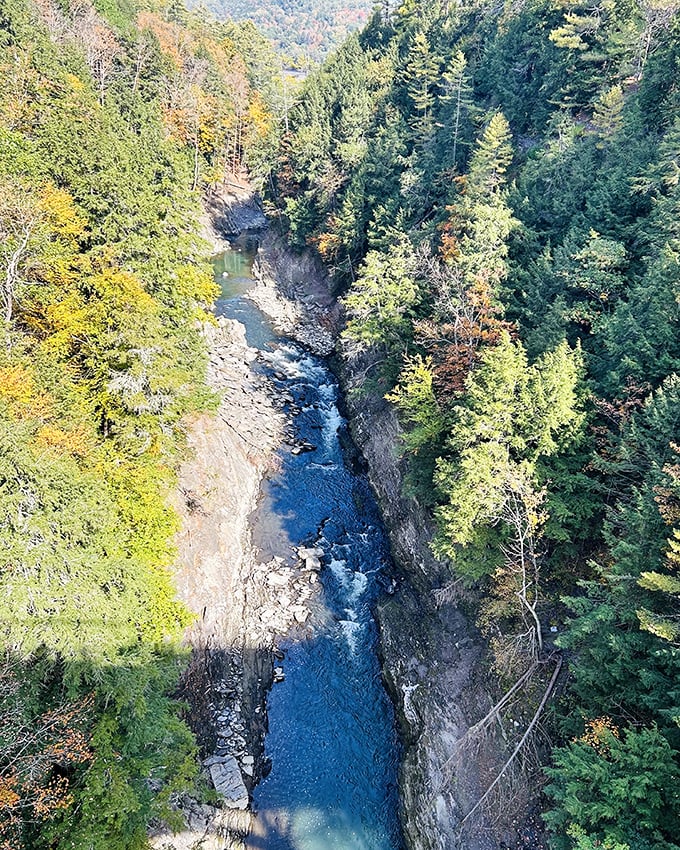 The Ottauquechee River, seen from above, carving its patient path through Vermont's bedrock like nature's own sculptor.