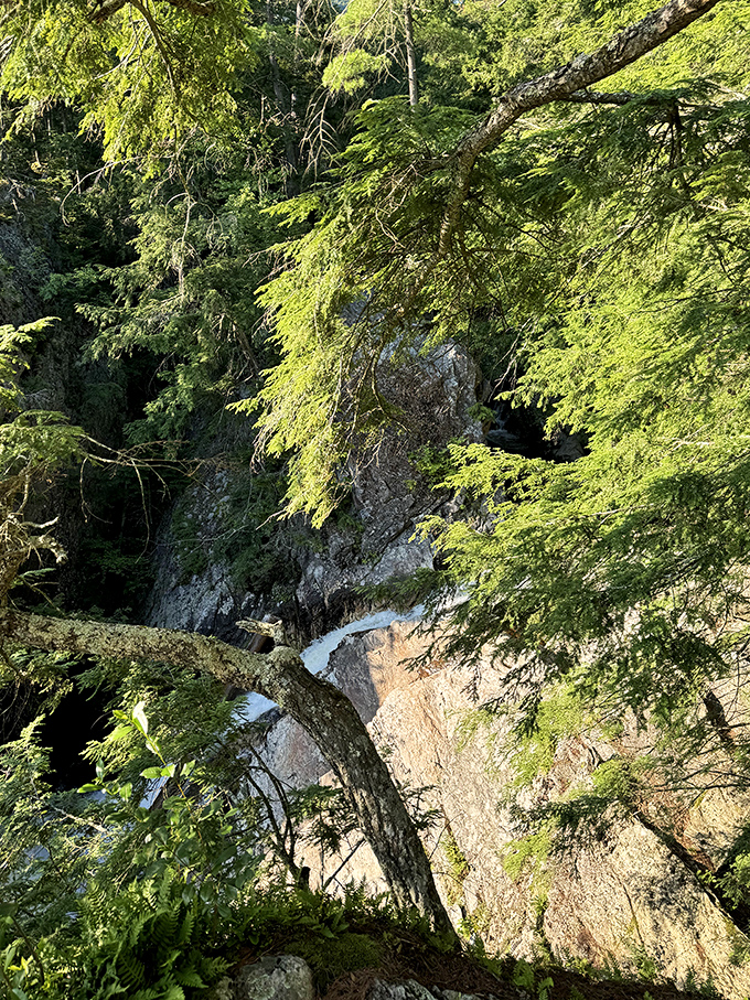The Falls of Lana cascade dramatically through ancient rock formations, creating nature's perfect soundtrack for forest meditation.