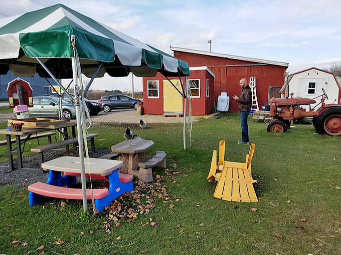 It's farm life, but with a twist of playfulness and a sprinkle of adventure that even your inner child will want to RSVP to.