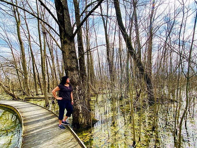 The Shaw Wetlands boardwalk lets you explore ecosystems teeming with life without getting your feet wet, unless you really want to.