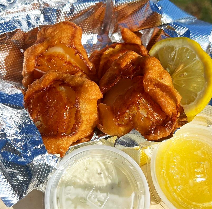 Golden-fried clams that crunch with coastal perfection, a crispy testament to simple seafood done right.