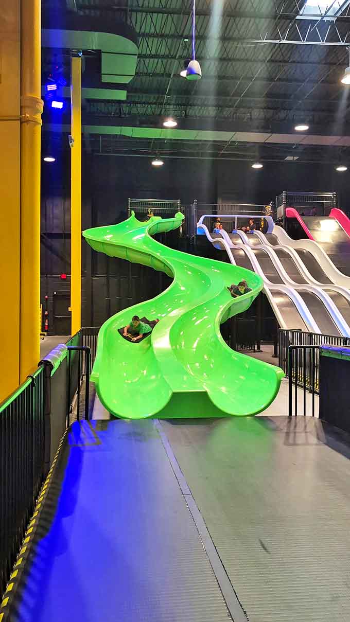 The serpentine green slide twists like a roller coaster without the restraints, delivering equal parts thrill and childlike glee.