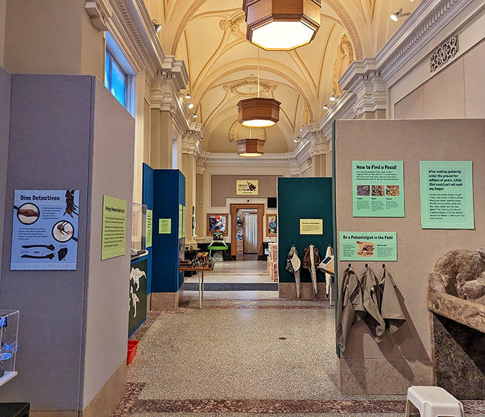 Sunlight streams through the museum's elegant hallway, illuminating educational displays that transform complex science into accessible stories.