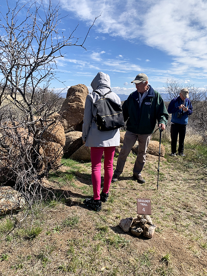 Curious hikers explore Oracle's Geology Trail, where every rock tells a story older than human civilization itself.
