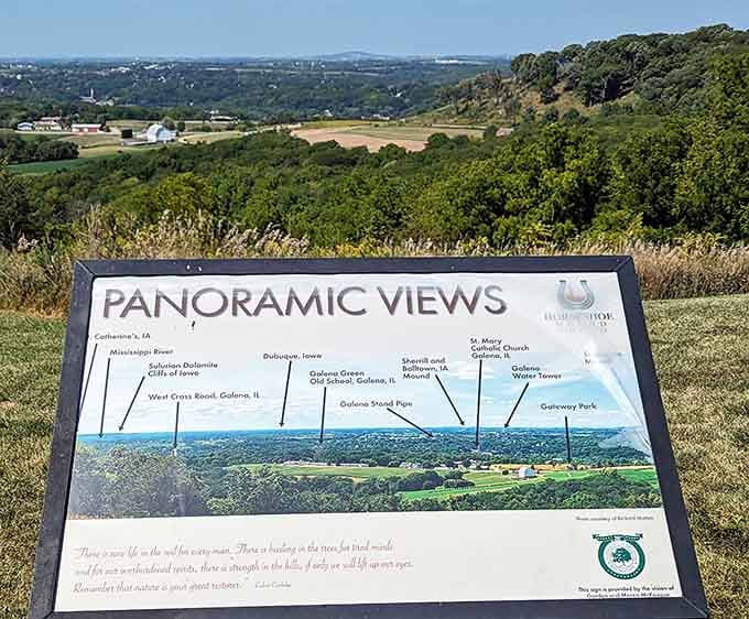 Educational signs that actually make you want to read them, a rare achievement in the signage world.