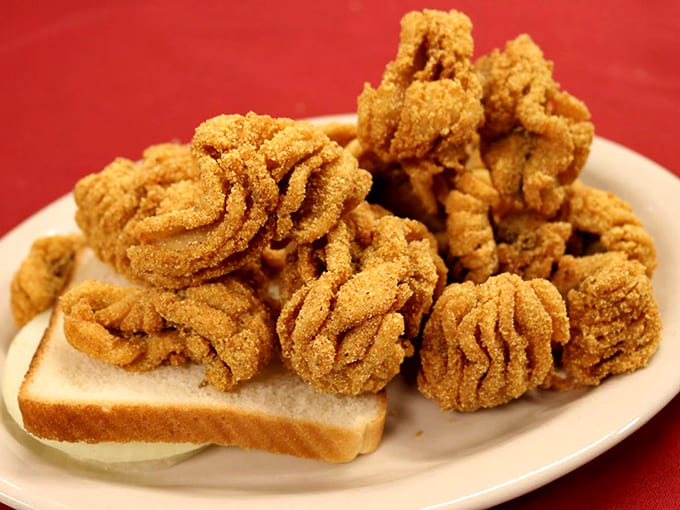 Fritters meet their perfect companion in simple white bread, creating a combination that's somehow greater than its humble parts.