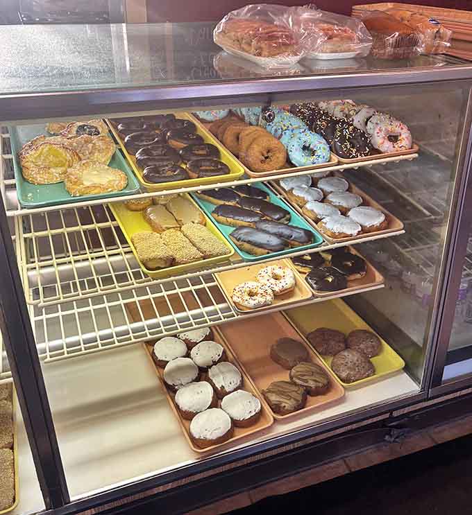 This display case is what happiness looks like when it's been deep-fried, glazed, and arranged in neat rows for your viewing pleasure.