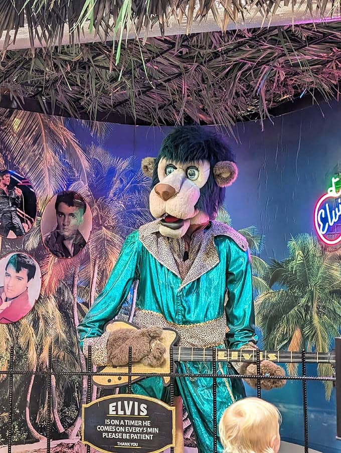 Elvis the lion croons every five minutes, bringing Vegas-style entertainment to your produce shopping experience unexpectedly.