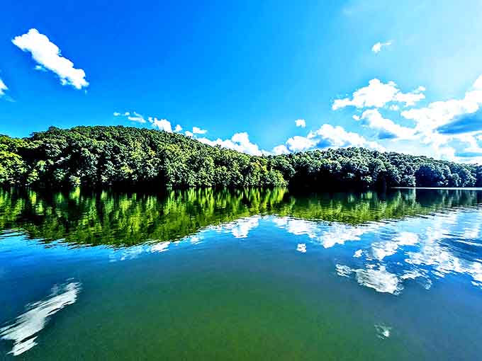 Morning light dances across Lake Logan, turning ordinary water into liquid gold as clouds paint their reflection below.