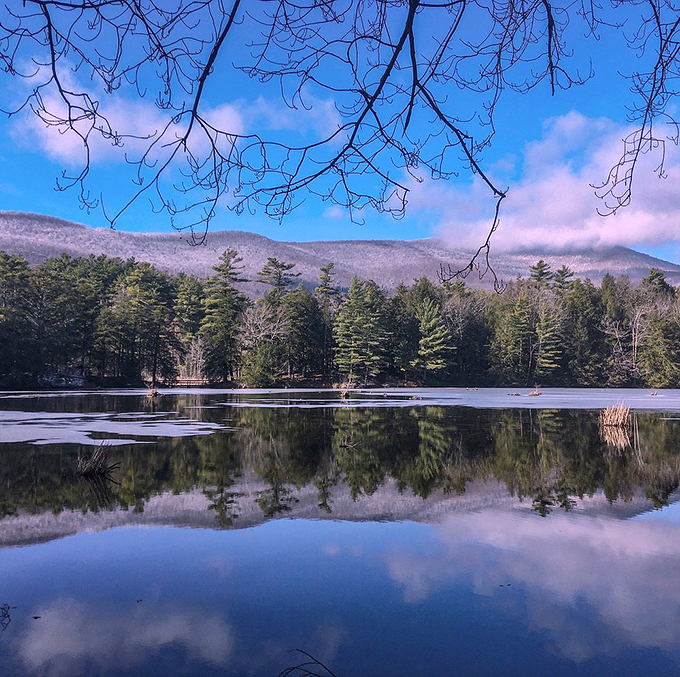 Dawn breaks over the lake with cotton-candy clouds, creating a scene Bob Ross would've loved to paint.