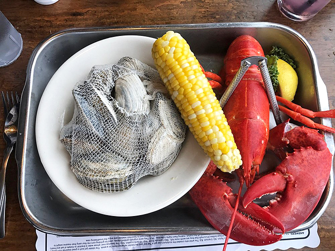 The ultimate Maine feast: lobster, steamers, corn on the cob - it's like the ocean and farm had a delicious summit meeting.
