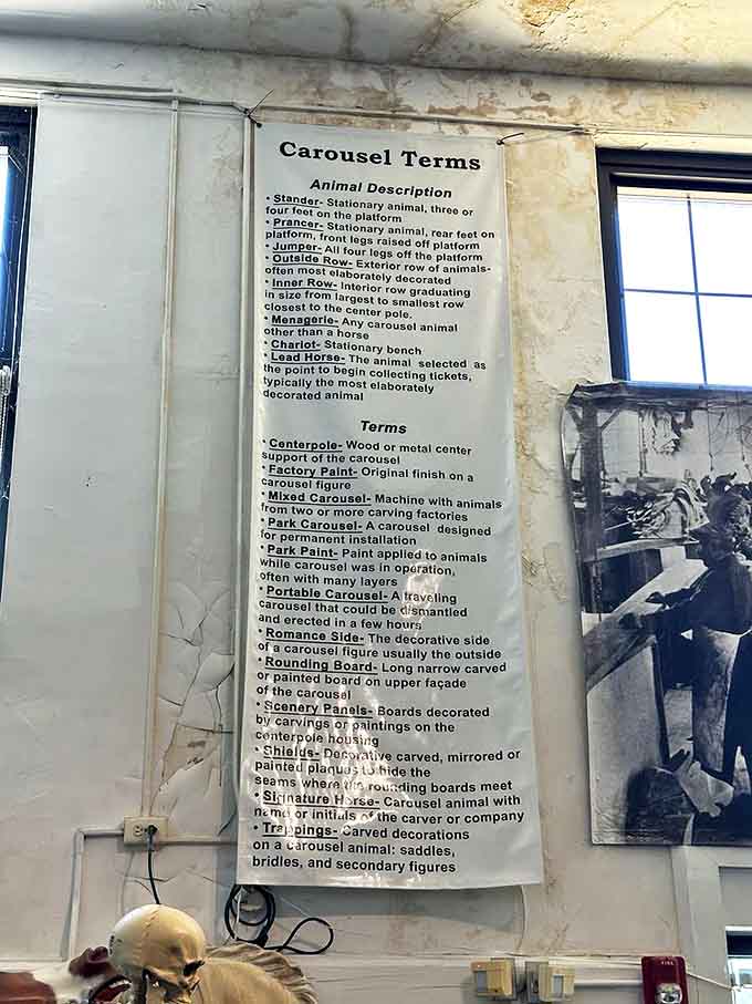 The secret language of carousel enthusiasts revealed! Who knew "jumpers" and "prancers" weren't just Santa's reindeer but carousel terminology?