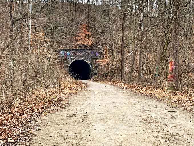 The approach to Moonville Tunnel feels like walking into a storybook, complete with winding path and forest guardians.