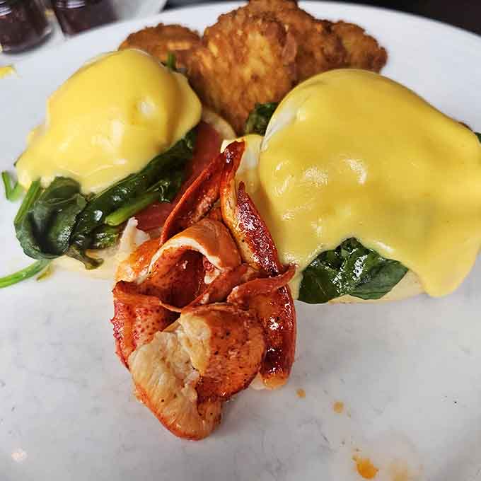 Lobster Benedict transforms brunch into an event, with poached eggs and hollandaise draped over sweet Maine lobster like edible luxury.