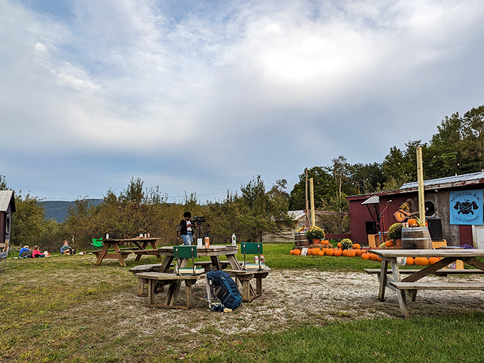 Rustic picnic tables invite visitors to slow down and savor both their apple treasures and the magnificent mountain views.