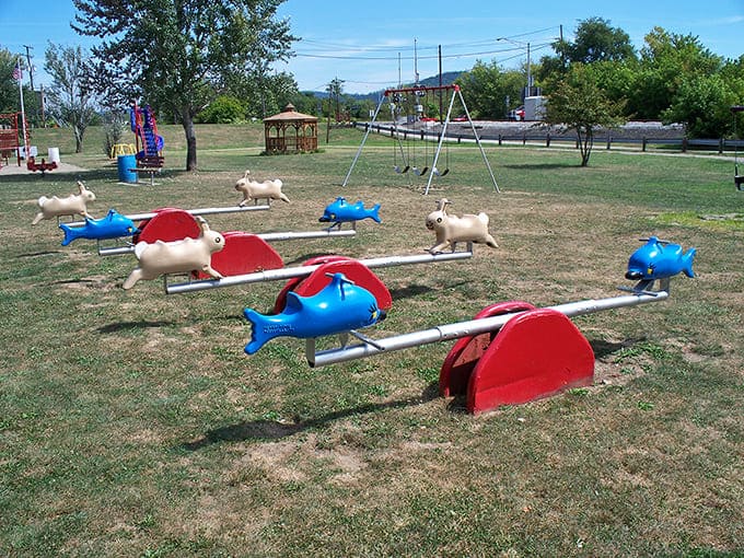 Whimsical animal-shaped equipment brings joy to the local playground, where laughter echoes against the backdrop of Ohio's rolling hills.